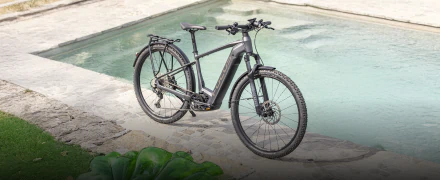 Focus Bikes | Road bikes, VAE, Gravel and MTB Focus